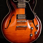 Pandora - Briggs Guitars